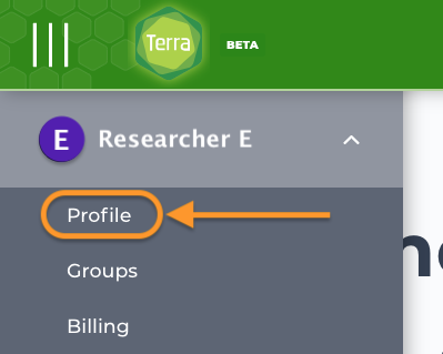 Access controlled data files by linking your NIH account in Terra ...