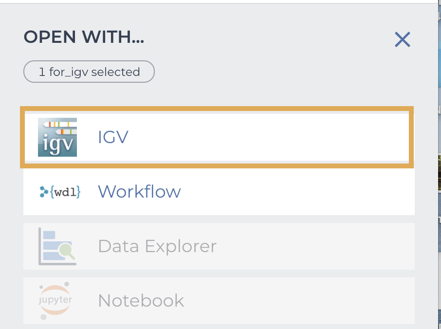 How to view IGV tracks of BAM and VCF files – Terra Support