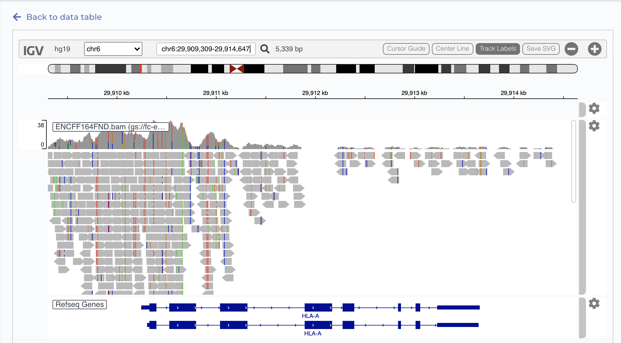 How to view IGV tracks of BAM and VCF files – Terra Support