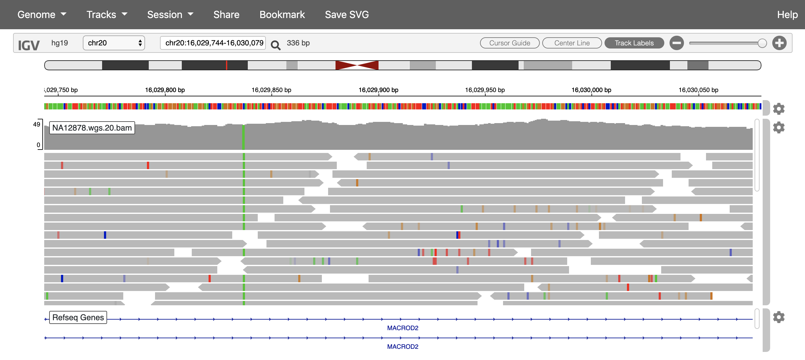 How To View Igv Tracks Of Bam And Vcf Files Terra Support